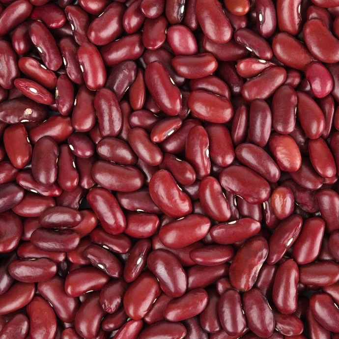 Haricots Rouges Graines L gumineuses Mar chal Fra cheur Haricots Rouges Graines L gumineuses Mar chal Fra cheur