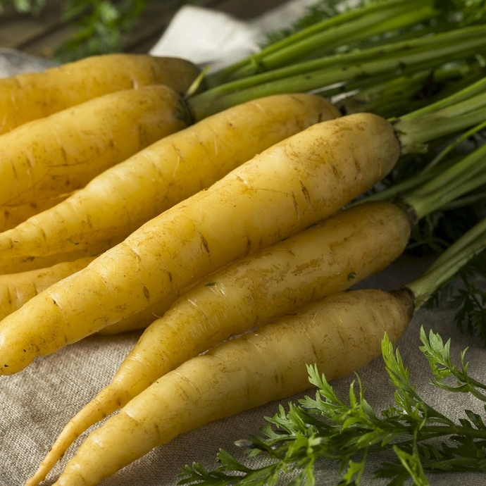 Carottes jaunes | Légumes | Maréchal Fraîcheur